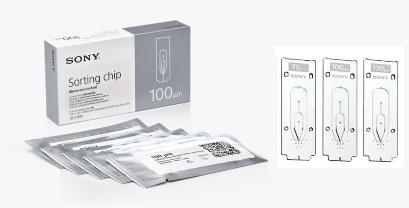 Microfluidics Sorting Chip - Box PNG Image | Transparent PNG Free ...