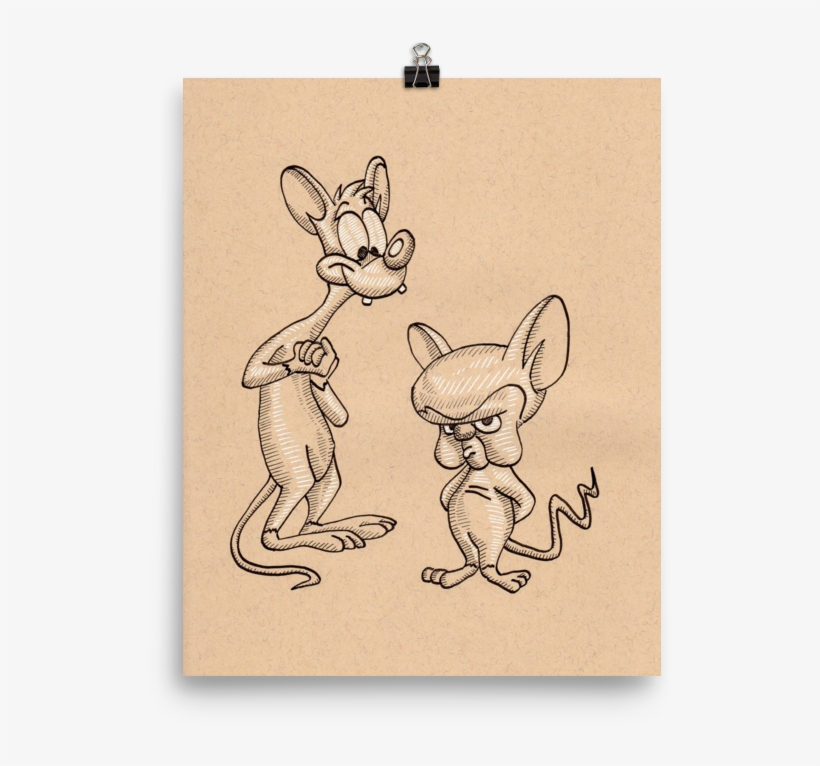 Wallaby PNG Image | Transparent PNG Free Download on SeekPNG