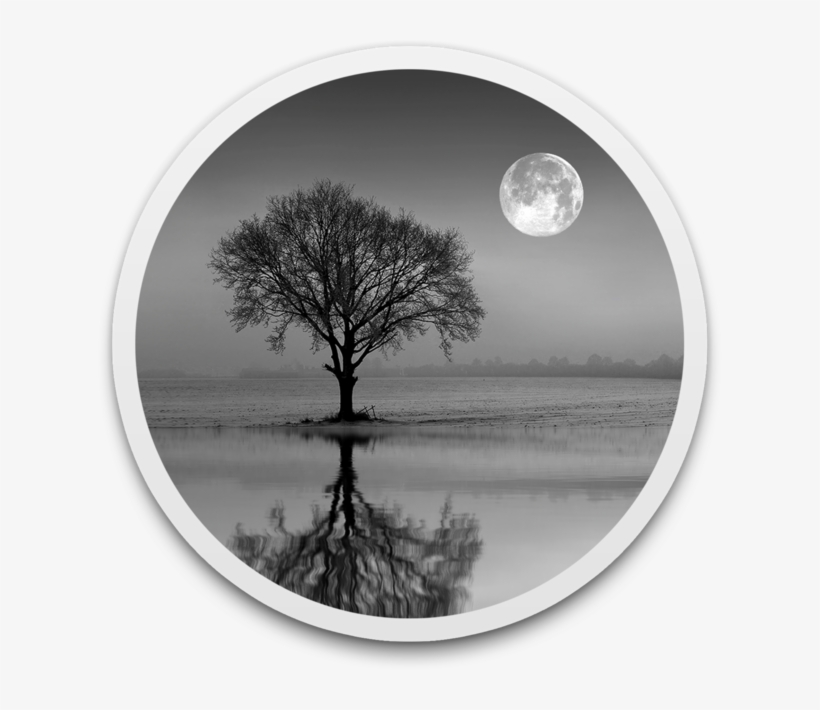 Reflect Studio On The Mac App Store - Reflection PNG Image ...