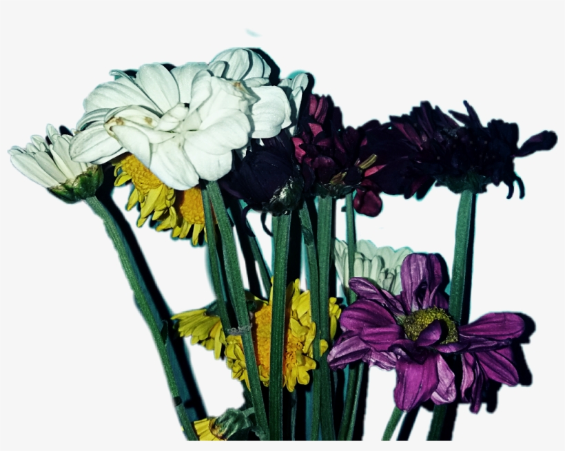 Bunga Sticker - Bouquet PNG Image | Transparent PNG Free Download on ...