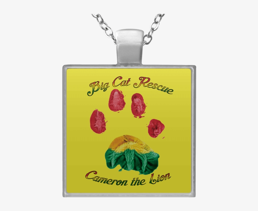 Cameron Lion Paw Print Un4684 Square Necklace - Necklace PNG Image ...