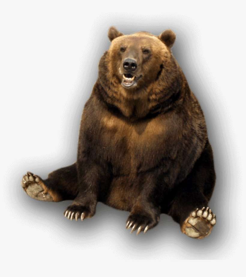 Free Png Bear Png Images Transparent - Murder Grins And Bears It [book ...