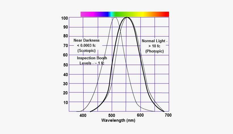 The Three Curves In The Figure Above Shows The Normalized - Human Light ...