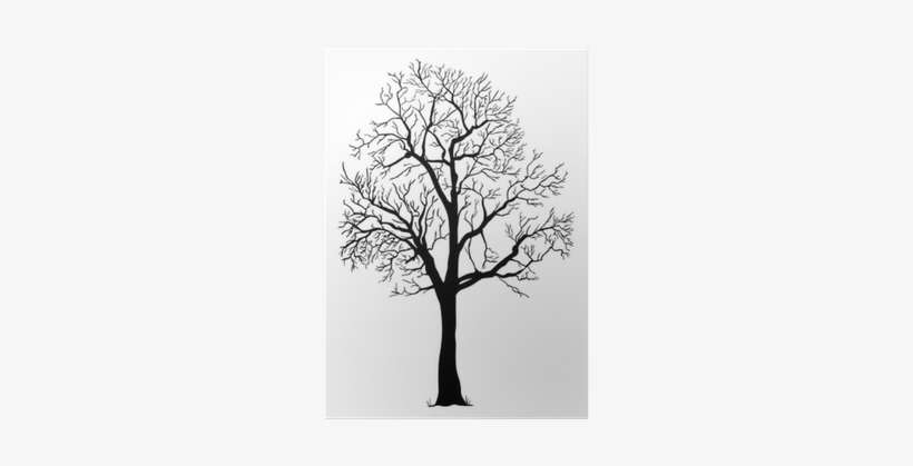 Simple Bare Tree Silhouette Vector