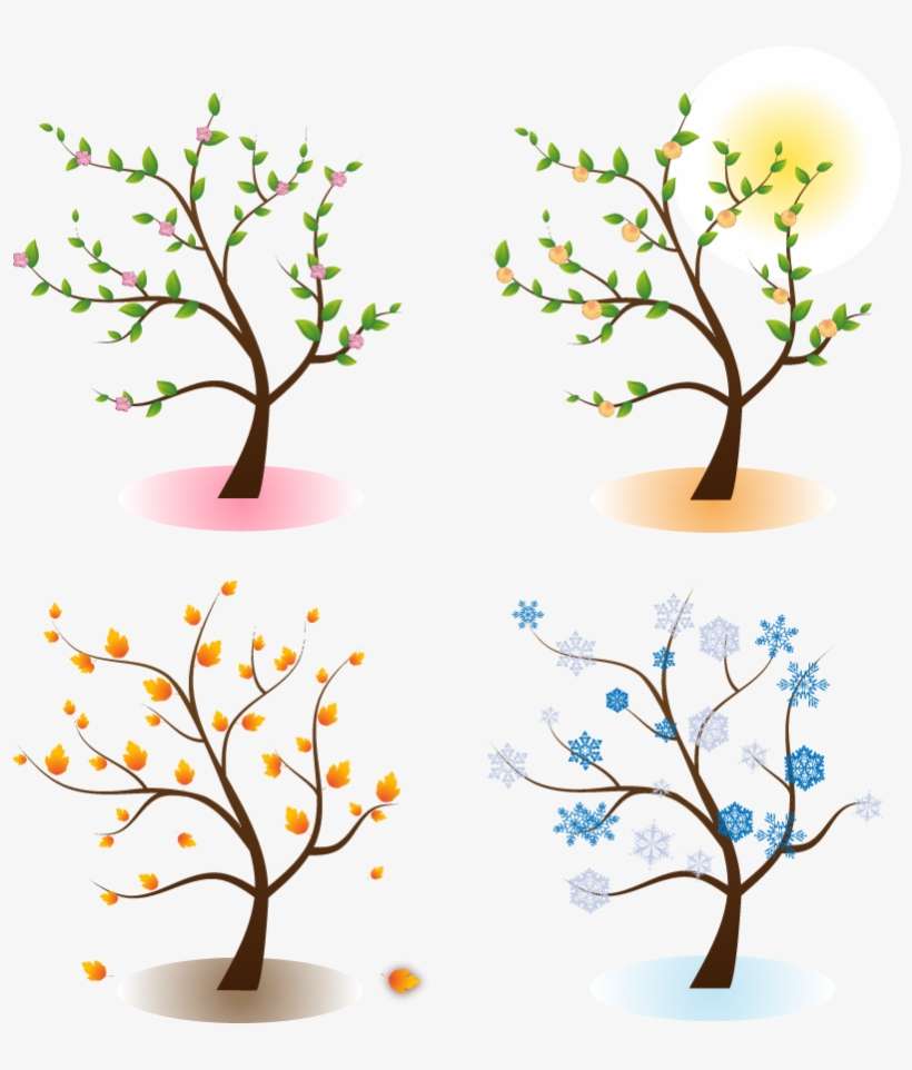 Download Black And White Download 4 Seasons Tree Clipart - Tree Four ...