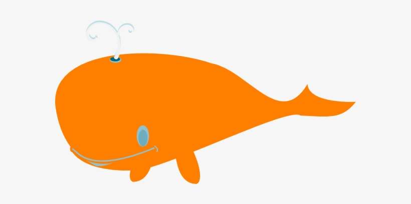 Orange Whale Png PNG Image | Transparent PNG Free Download on SeekPNG
