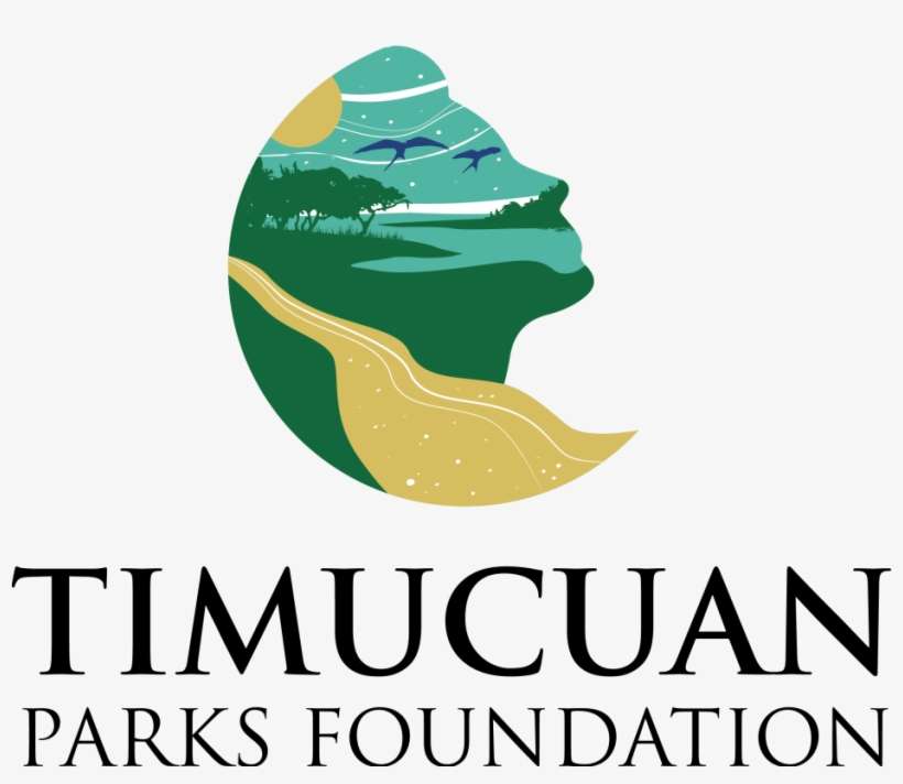 Selective Insurance PNG Image | Transparent PNG Free Download on SeekPNG