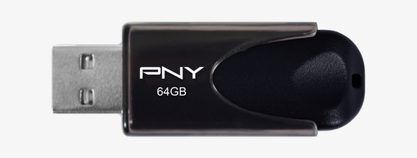 Download Pny | Transparent PNG Download | SeekPNG