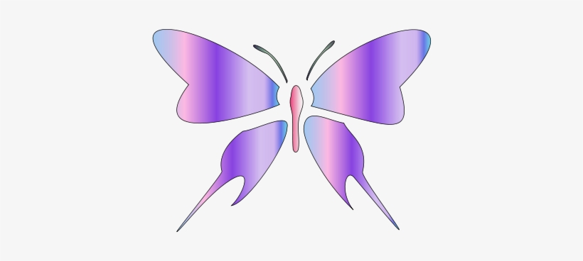 Adonis Blue PNG Image | Transparent PNG Free Download on SeekPNG