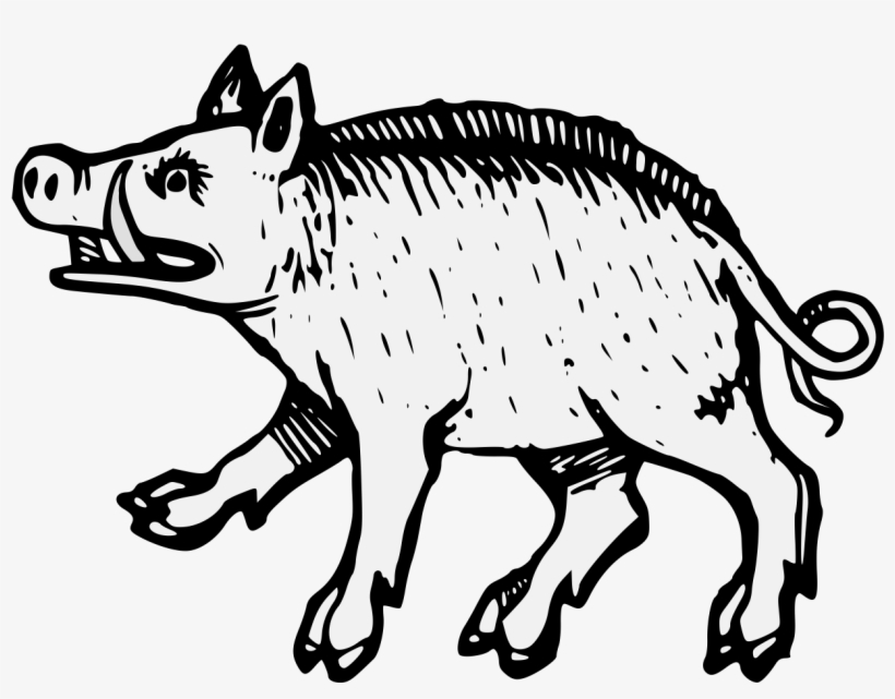 Download Boar Passant - Illustration | Transparent PNG Download | SeekPNG