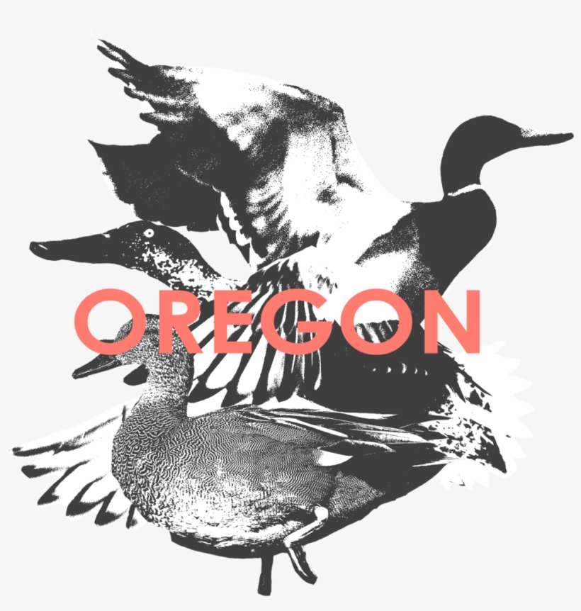 Oregon PNG Image | Transparent PNG Free Download on SeekPNG