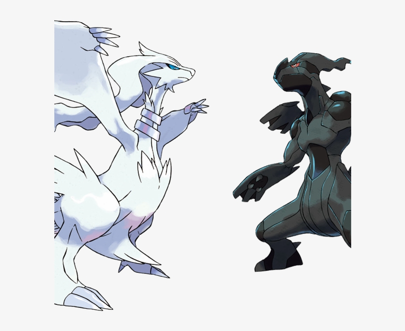 Reshiram Pokemon PNG Image | Transparent PNG Free Download on SeekPNG