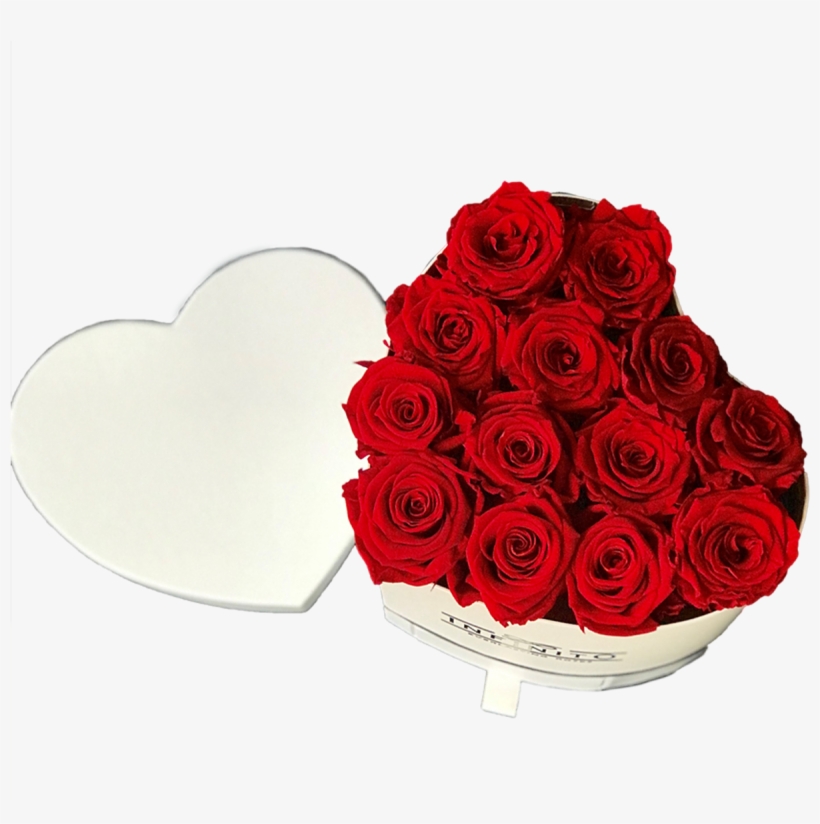 Infinito Lovely Box - Garden Roses PNG Image | Transparent PNG Free ...