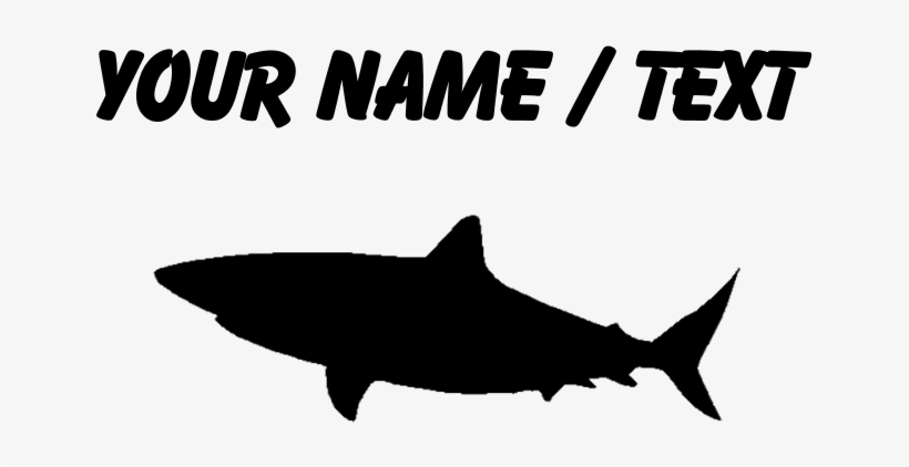 Back Design - Shark PNG Image | Transparent PNG Free Download on SeekPNG