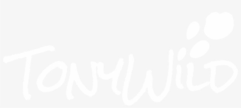 Tony Wild - Calligraphy PNG Image | Transparent PNG Free Download on ...