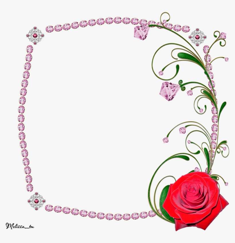Transparent Pink Roses Frame - Picture Frame PNG Image | Transparent ...