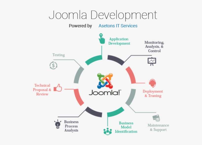 Dynamic Website Design - Infographic Template Word PNG Image ...