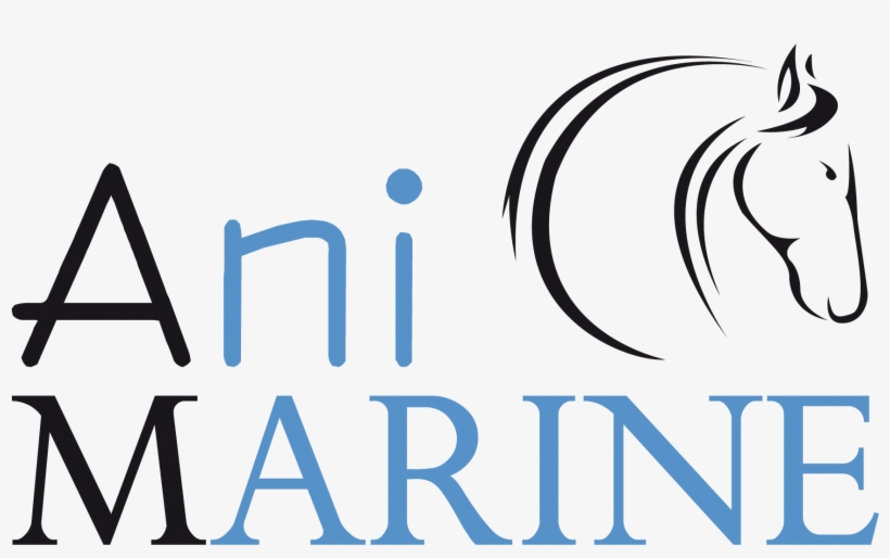 Logo Ani Marine - Aek Bank 1826 PNG Image | Transparent PNG Free ...