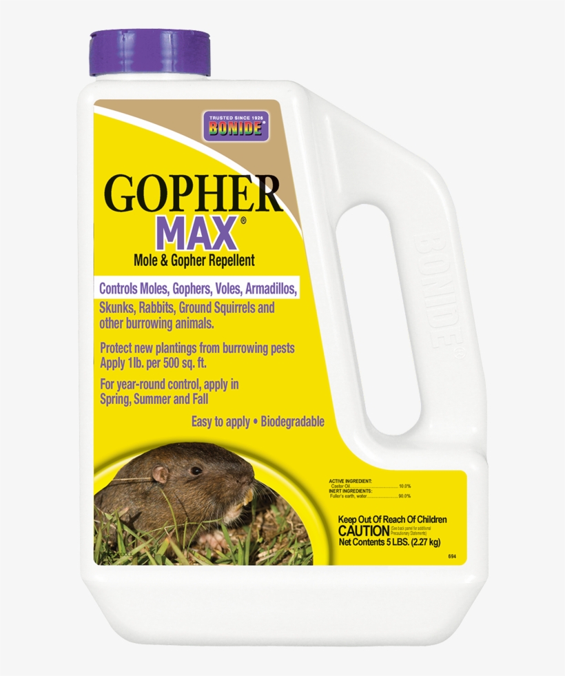 Gophermax® - Rat PNG Image | Transparent PNG Free Download on SeekPNG