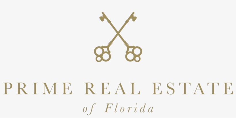 Prime - Body Jewelry PNG Image | Transparent PNG Free Download on SeekPNG