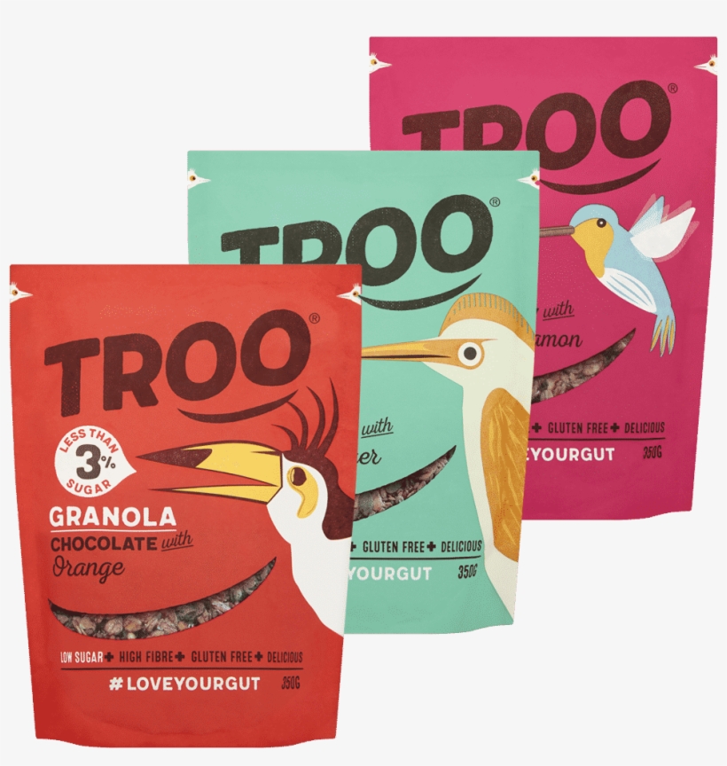 Troo - Flyer PNG Image | Transparent PNG Free Download on SeekPNG