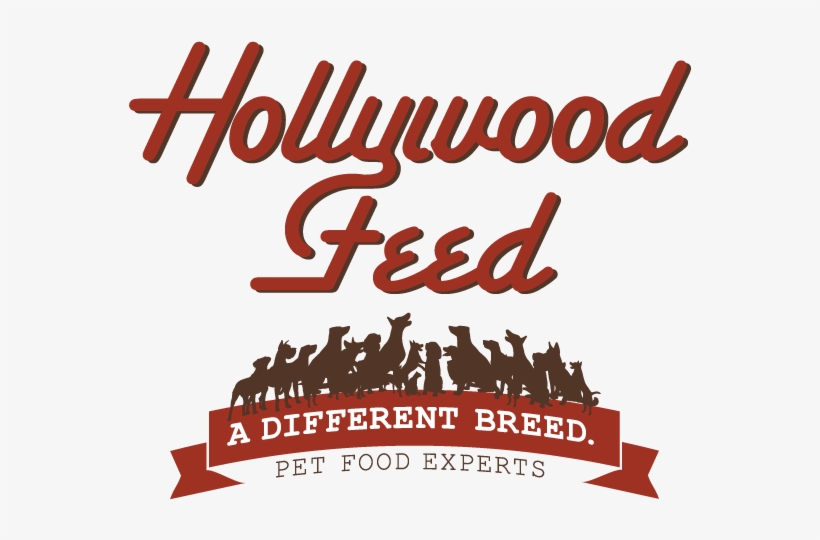 Hf Logowithdogs - Hollywood Feed Logo PNG Image | Transparent PNG Free ...