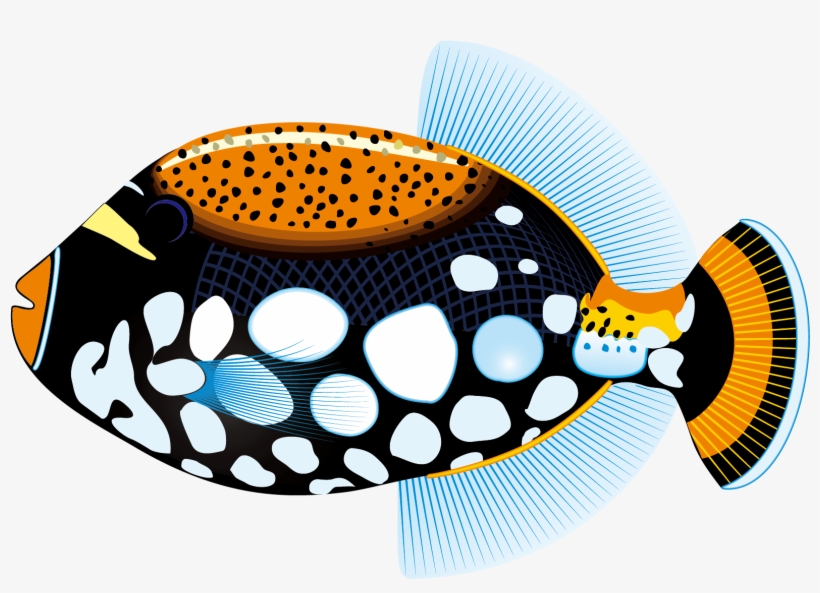 Fish Eyes Clipart Free