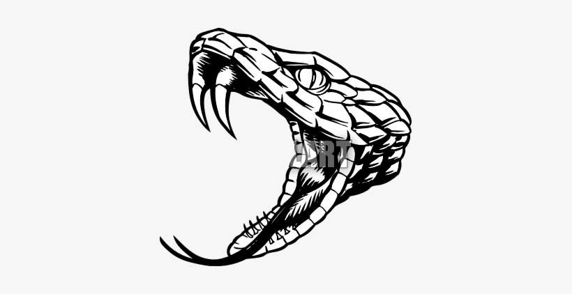 Snake Skeleton Png Svg Library Download - Rattlesnake Black And White ...