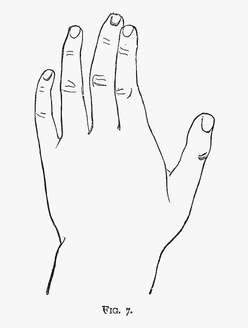 Hand PNG Image Transparent PNG Free Download On SeekPNG Hand PNG Image Transparent PNG Free Download On SeekPNG