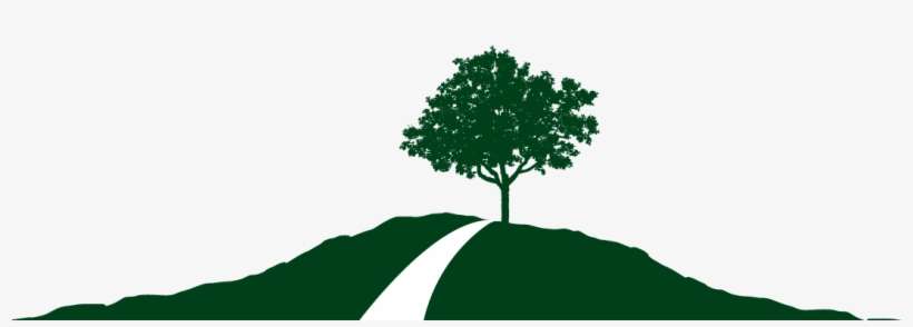 Shade Tree Cliparts - Tree Flat Design Png PNG Image | Transparent PNG ...