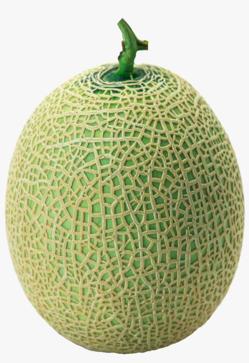 Melon Green - Melon Fruit Png PNG Image | Transparent PNG Free Download ...
