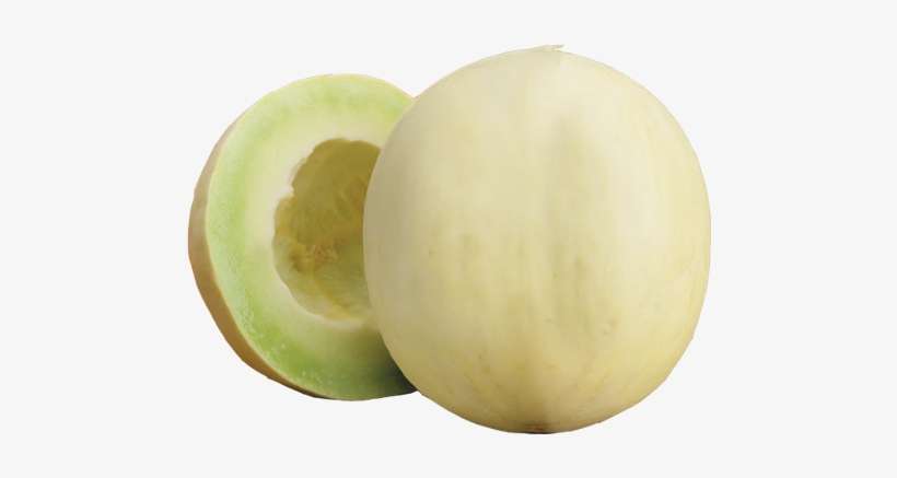 Honeydew - Crenshaw - Casaba - Cantaloupe - Honey Dew PNG Image ...