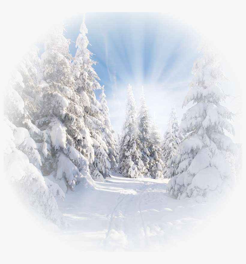 Winter Backgrounds - Winter PNG Image | Transparent PNG Free Download ...