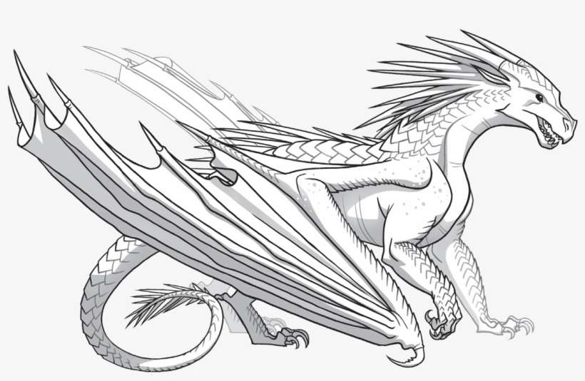 Download Icewing - Wings Of Fire Dragons Icewings | Transparent PNG ...