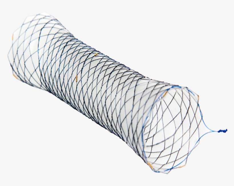Ccba Covered Colorectal Stent With Lasso - Bare-metal Stent PNG Image ...