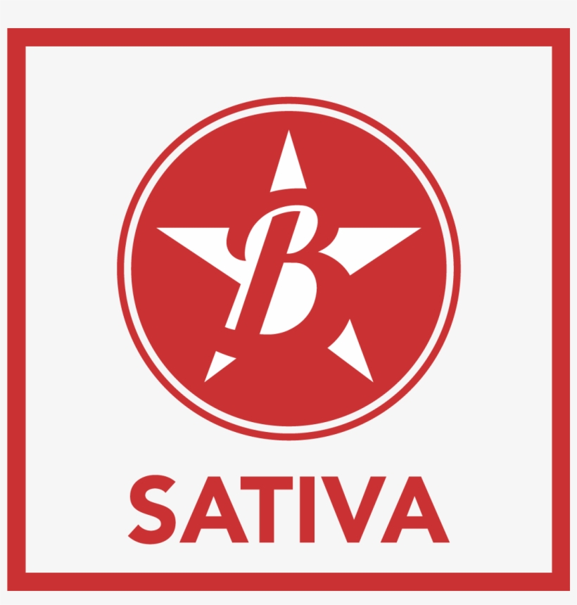 Buddy Boy Walnut Rino - Buddyboy PNG Image | Transparent PNG Free ...