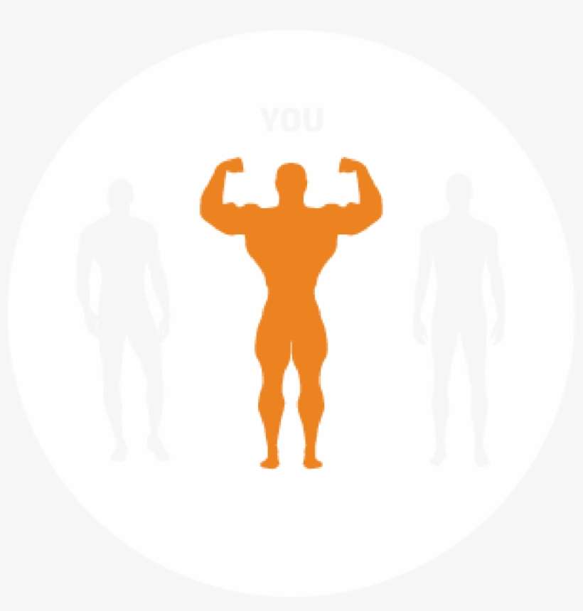 Bodybuilding PNG Image | Transparent PNG Free Download on SeekPNG