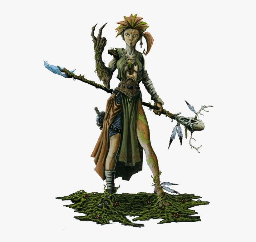 The Warlock Pact Of The Wilderheart Http - Pathfinder Elf Druid PNG ...