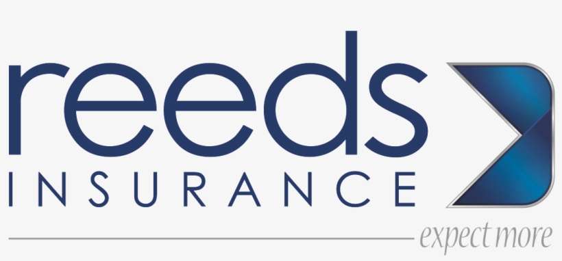 Irresistible Pull Of Irrational Behavior PNG Image | Transparent PNG ...