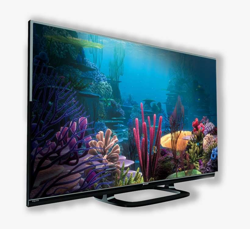 Customer Credit PNG Image | Transparent PNG Free Download on SeekPNG