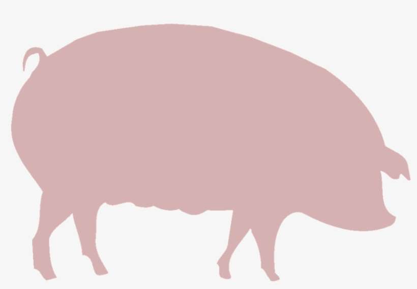 Farm, Farming, Animals, Agriculture, Rural, Pig, Hog - Animal ...