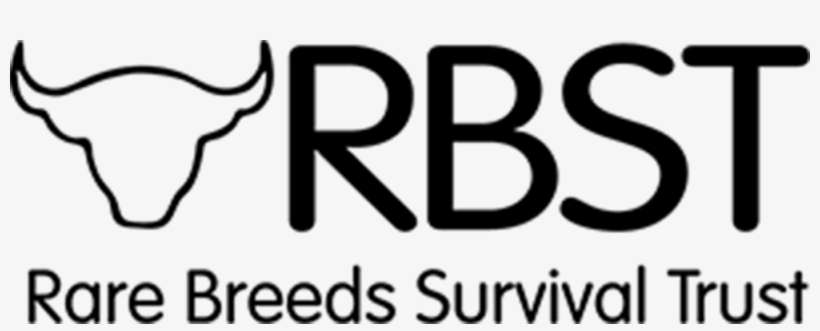 Rbst PNG Image | Transparent PNG Free Download on SeekPNG