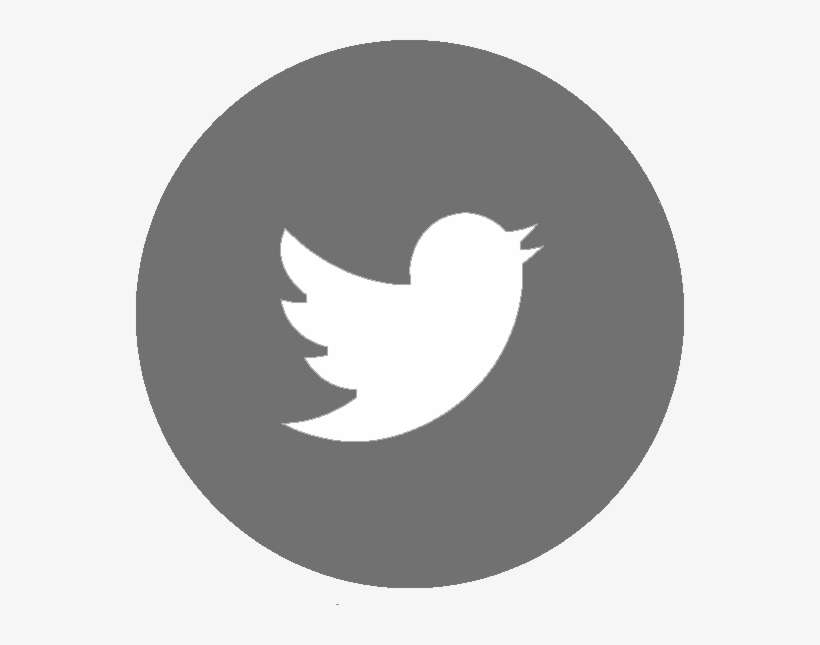 Download Twitter - Blue Twitter Icon Png | Transparent PNG Download ...