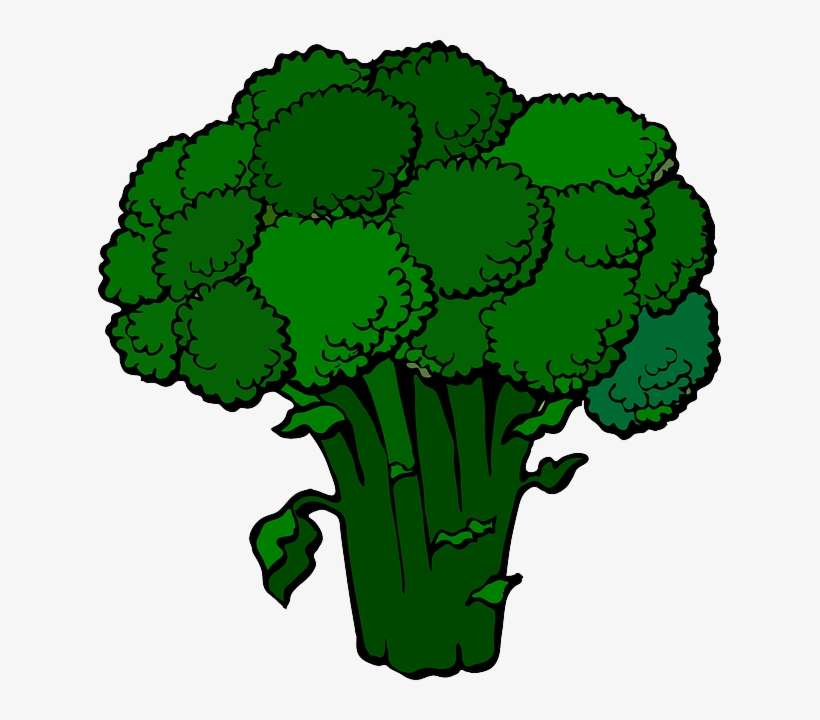 Brokolica Food Png, Free Clipart Images, Language Lessons, - Broccoli ...