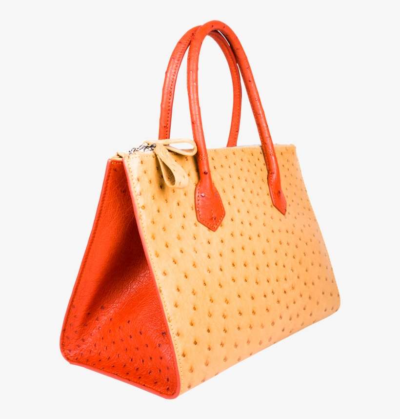 Google - Hand Bag Side View Png PNG Image | Transparent PNG Free ...