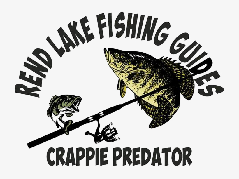 720 X 533 7 - Perch PNG Image | Transparent PNG Free Download on SeekPNG