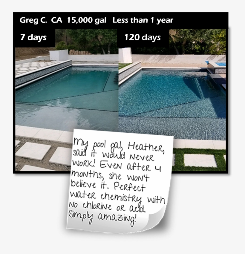 Greg C Pool California PNG Image | Transparent PNG Free Download on SeekPNG