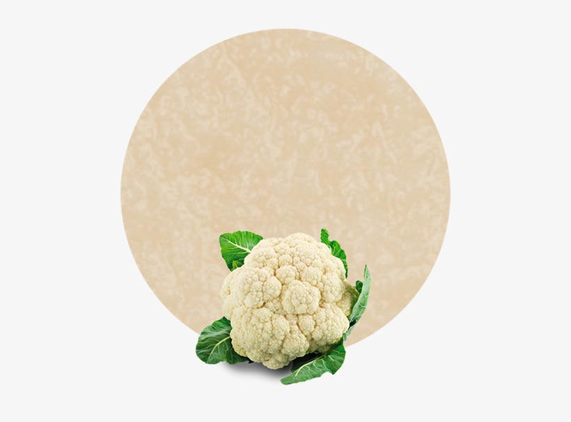 Com/wp Puree - Fulkopi PNG Image | Transparent PNG Free Download on SeekPNG