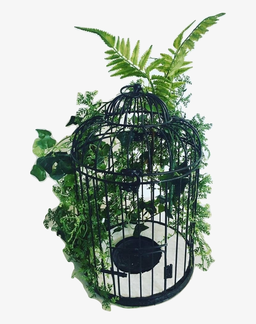 Black Birdcage Wishing Well - Cage PNG Image | Transparent PNG Free ...