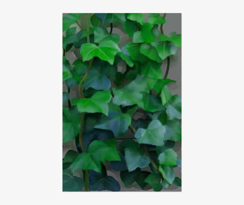 Ivy PNG Image | Transparent PNG Free Download on SeekPNG